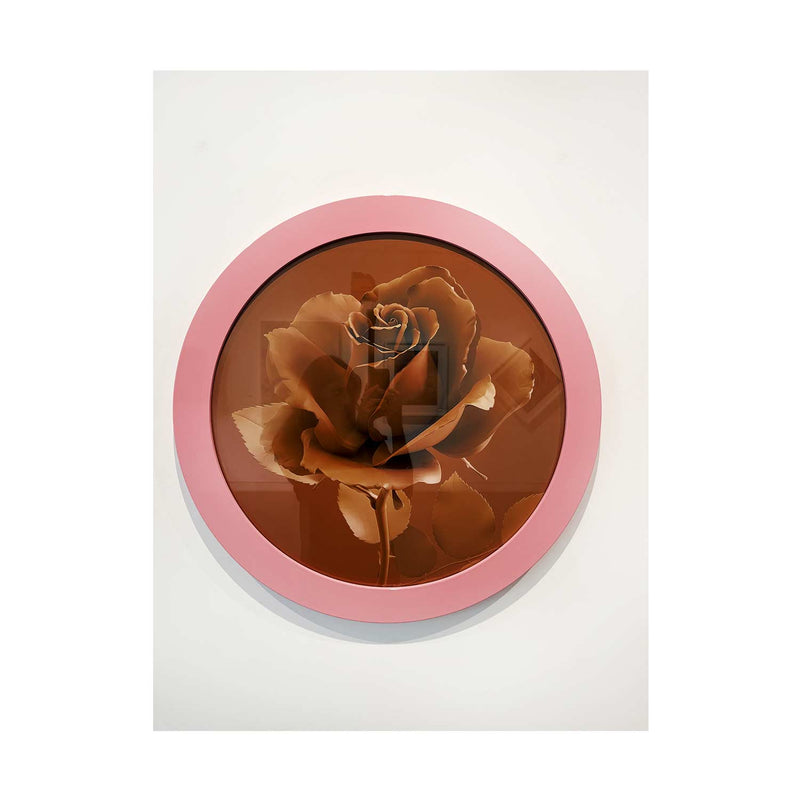 Brown Rose by Hye Rim Lee - Waterfall Artful Living HOME