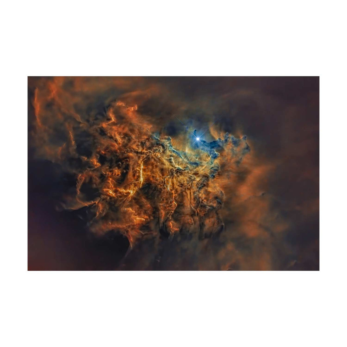 Flaming Star by Artist Gary Lopez - Waterfall Artful Living HOME